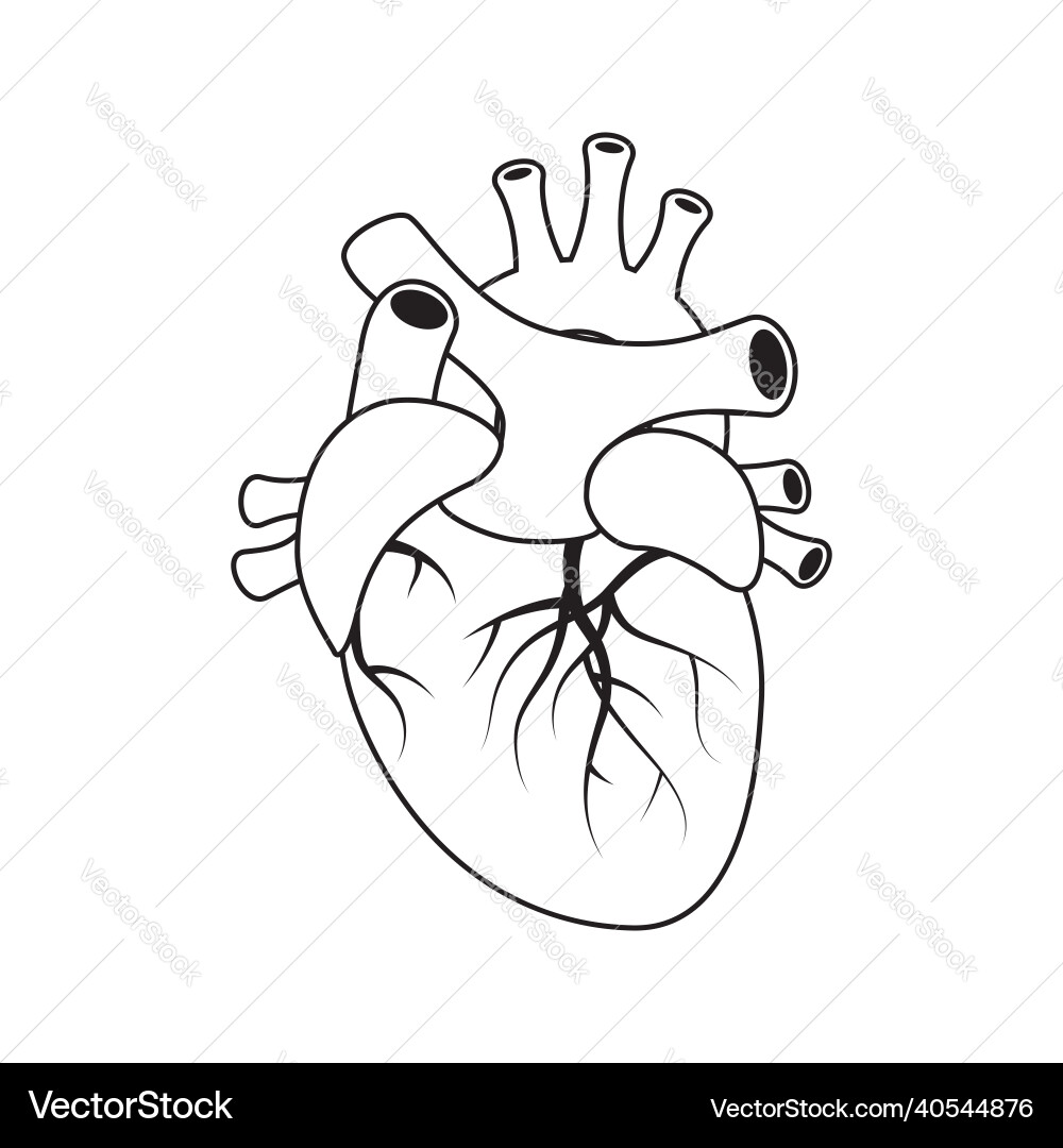 Heart medical concept in flat style Royalty Free Vector