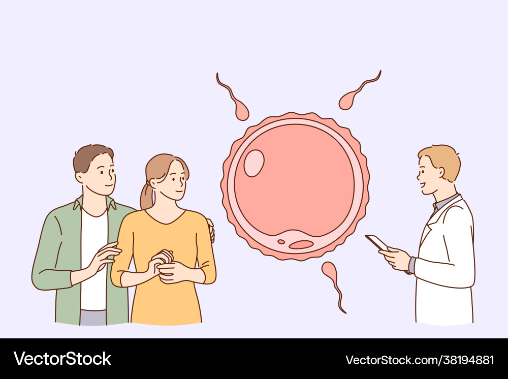Human reproduction children planning concept Vector Image