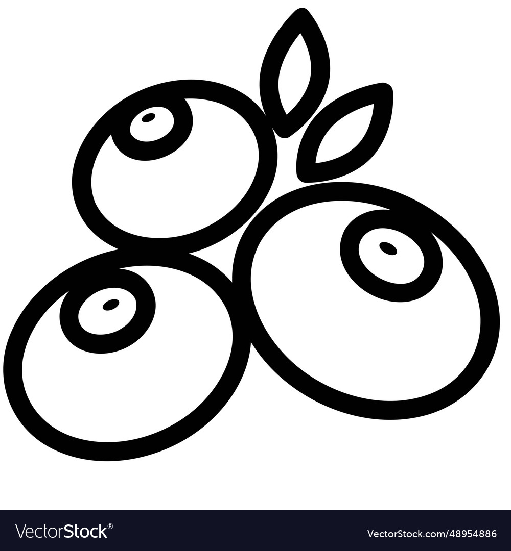 Blueberries Royalty Free Vector Image - VectorStock