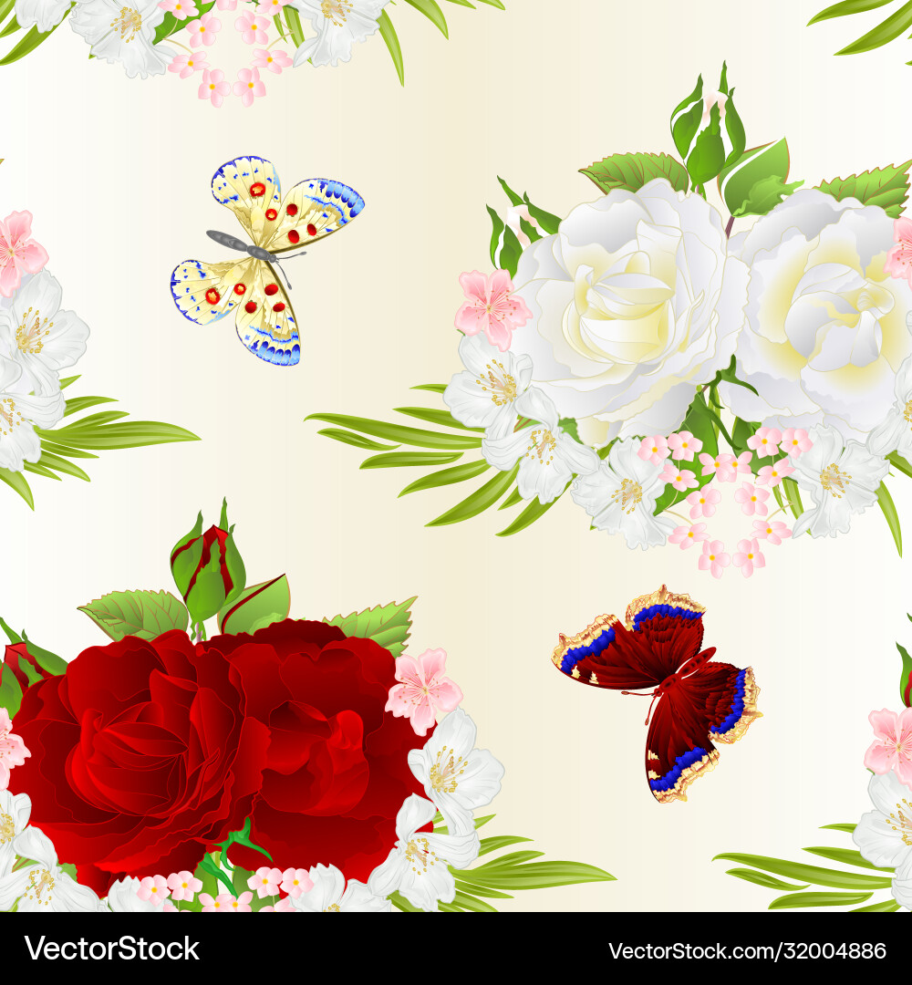Seamless texture flovr white and red roses Vector Image