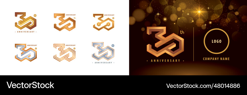 Set of 30th anniversary logotype design thirty Vector Image