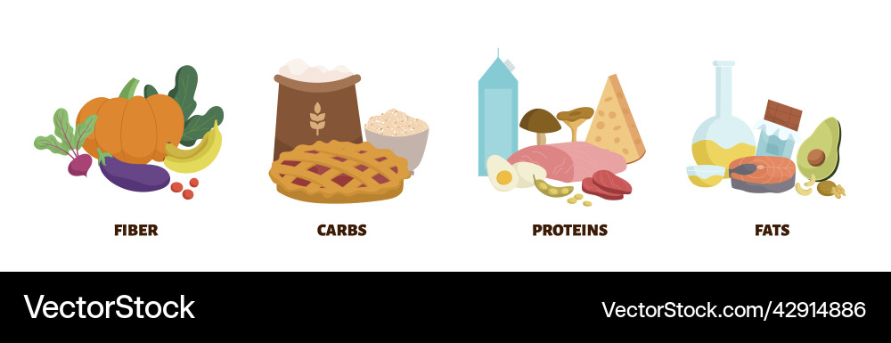 Set of healthy macronutrients Royalty Free Vector Image
