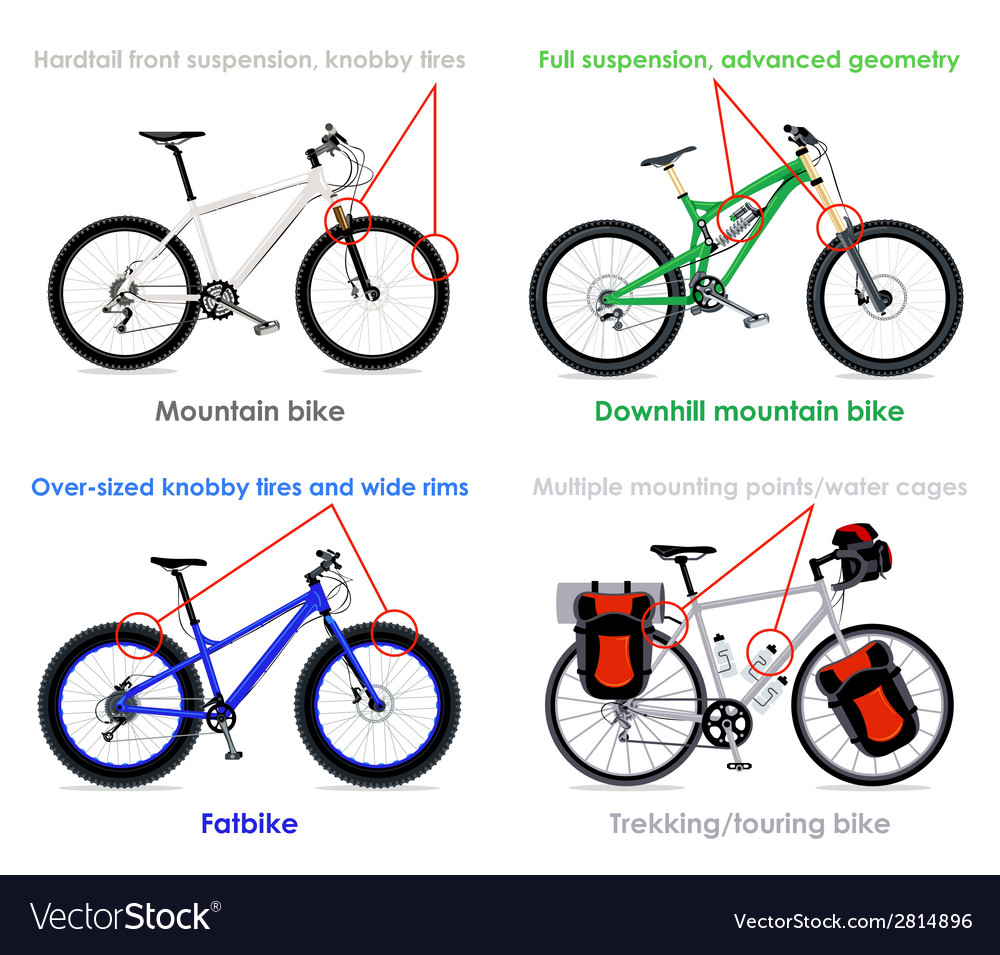 Bicycle types set iv Royalty Free Vector Image