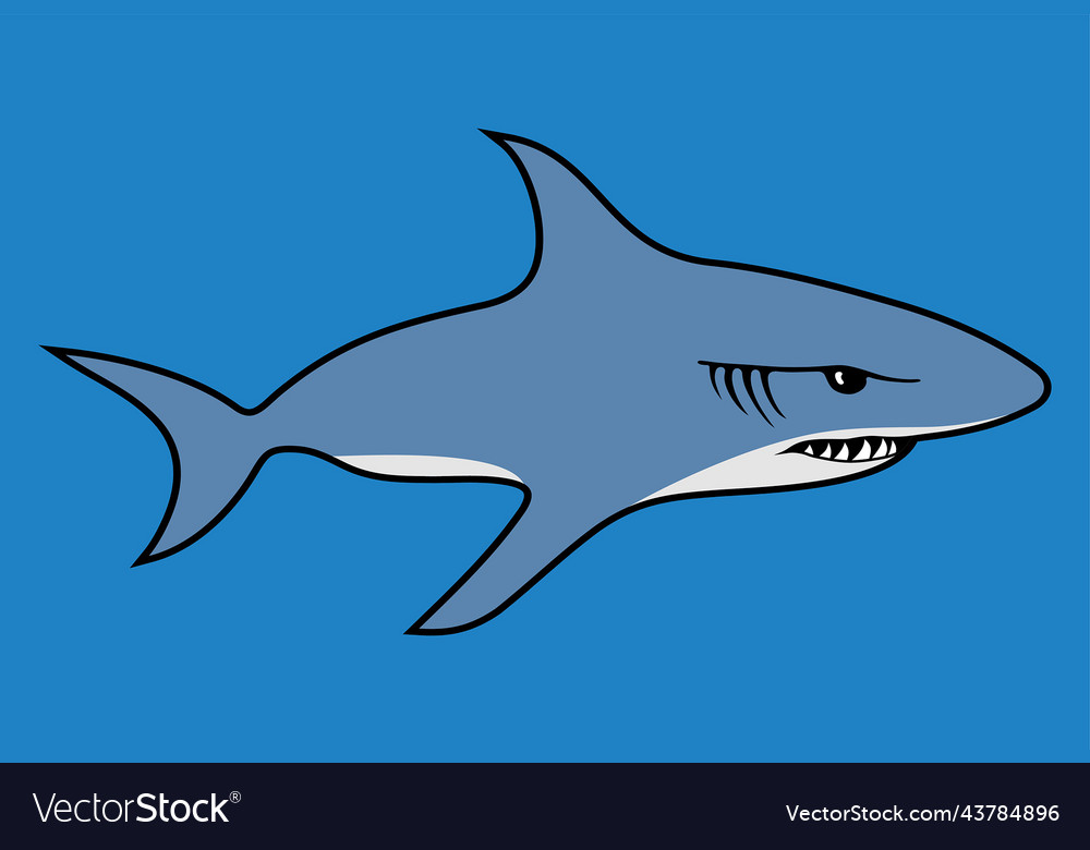 Blue shark Royalty Free Vector Image - VectorStock