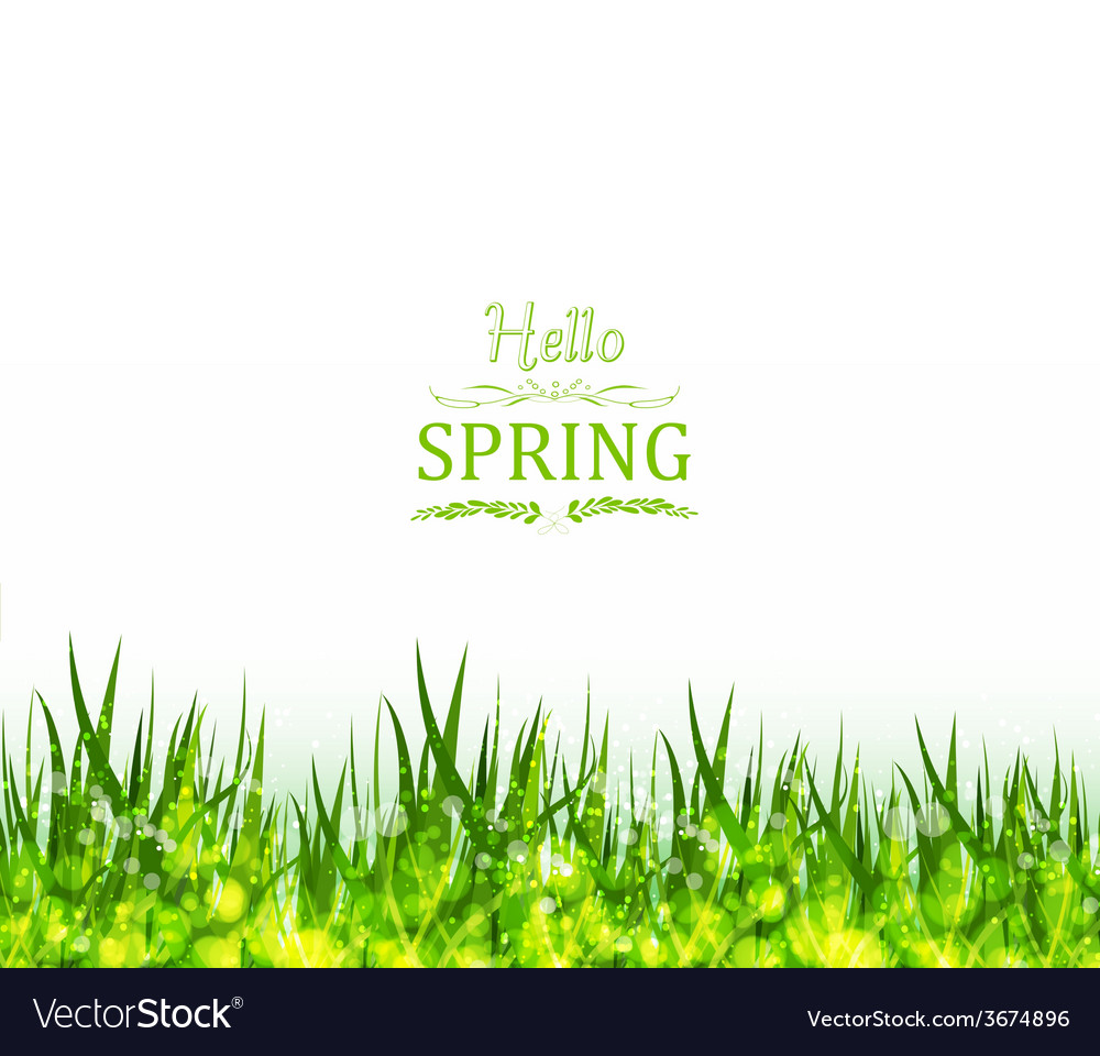 Hello spring background with grass Royalty Free Vector Image