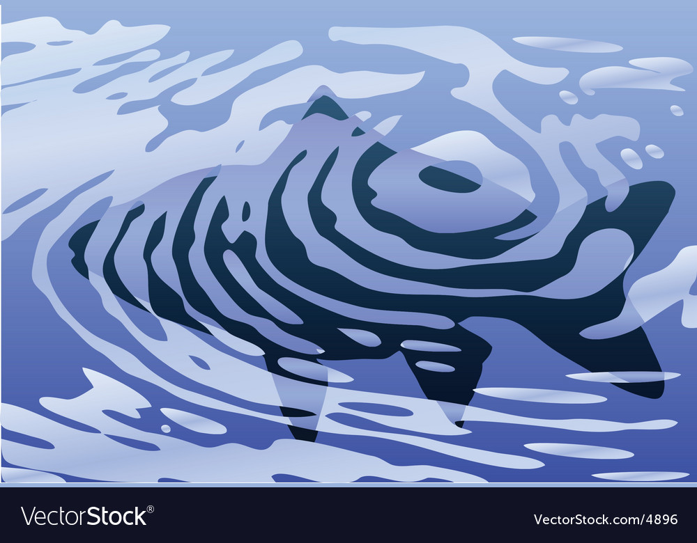 Rippled fish Royalty Free Vector Image - VectorStock