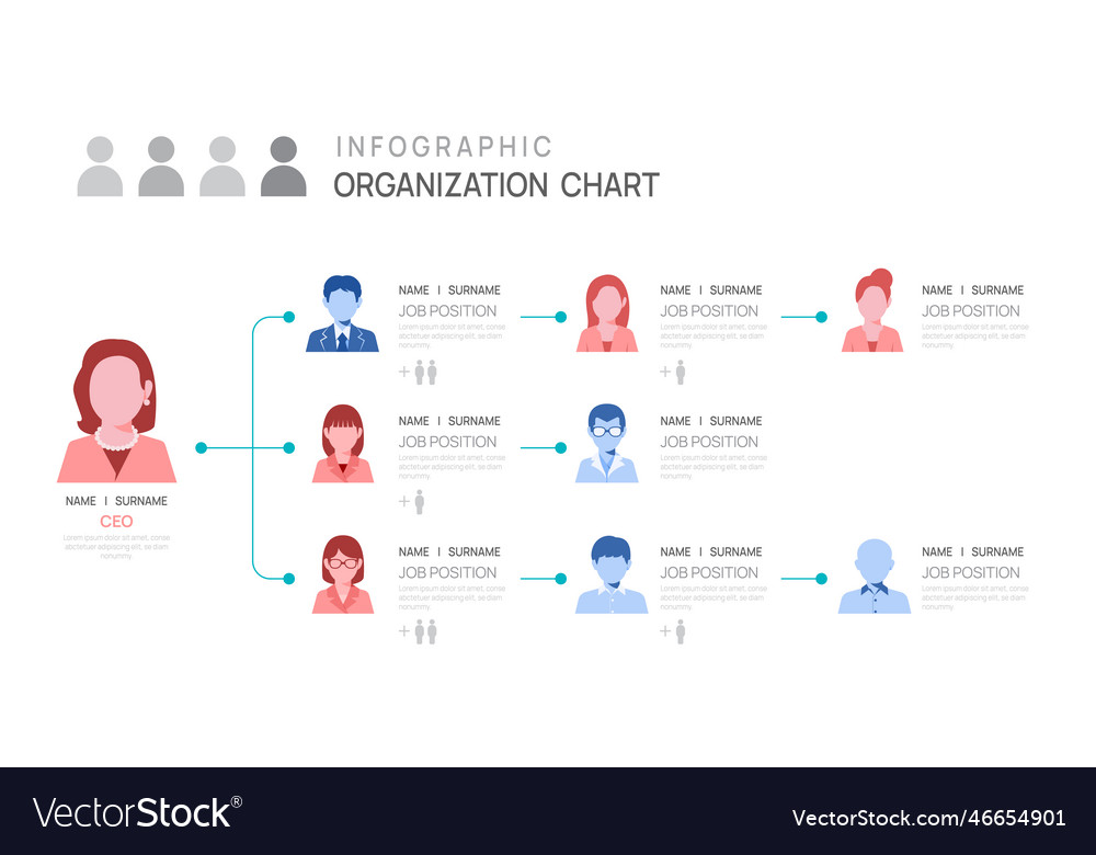 Infographic template for organization chart Vector Image