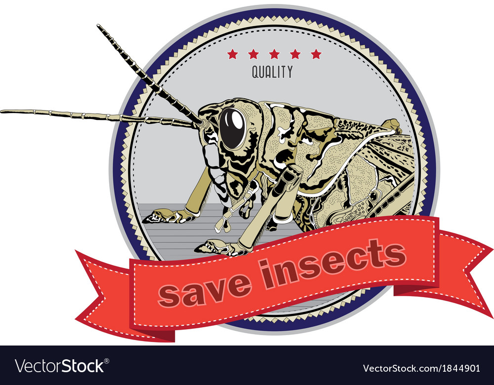 Locust Royalty Free Vector Image - VectorStock