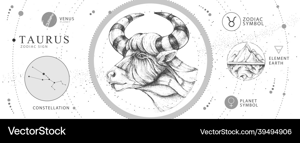 Magic card with astrology taurus zodiac sign Vector Image