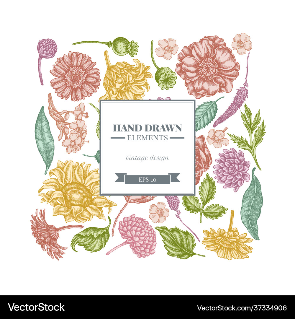Square floral design with pastel poppy flower Vector Image