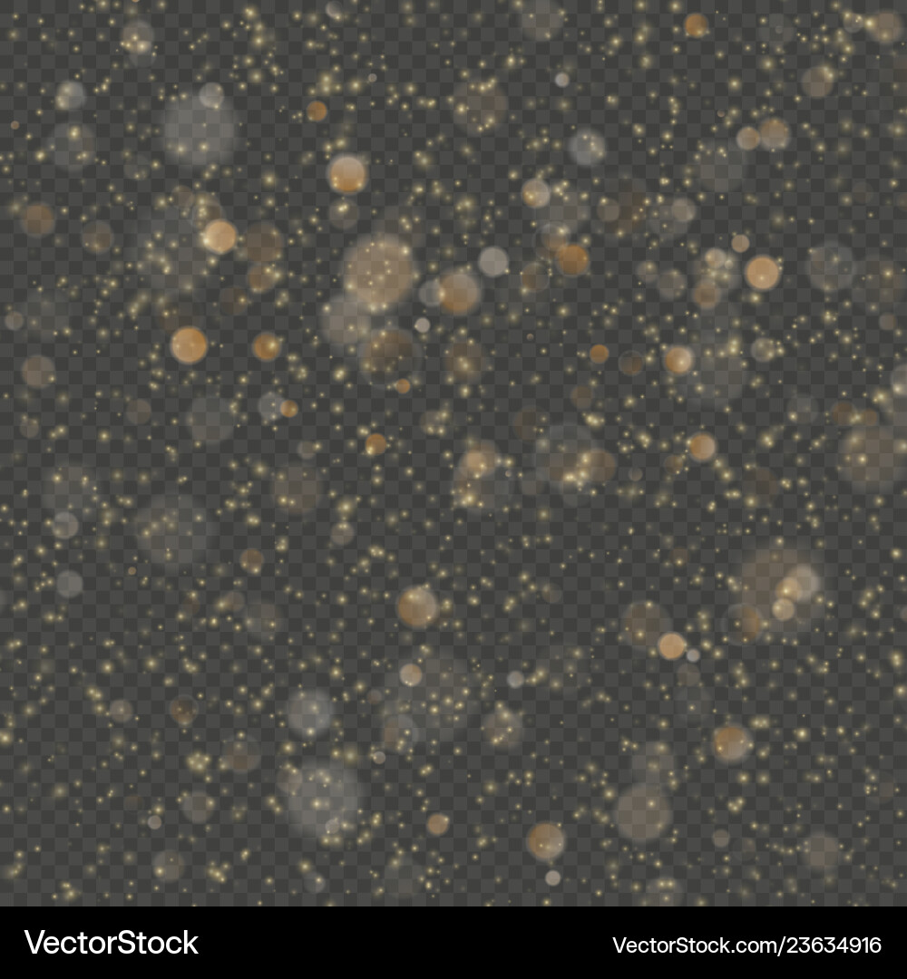 Particles overlay effect glitter of gold glowing Vector Image