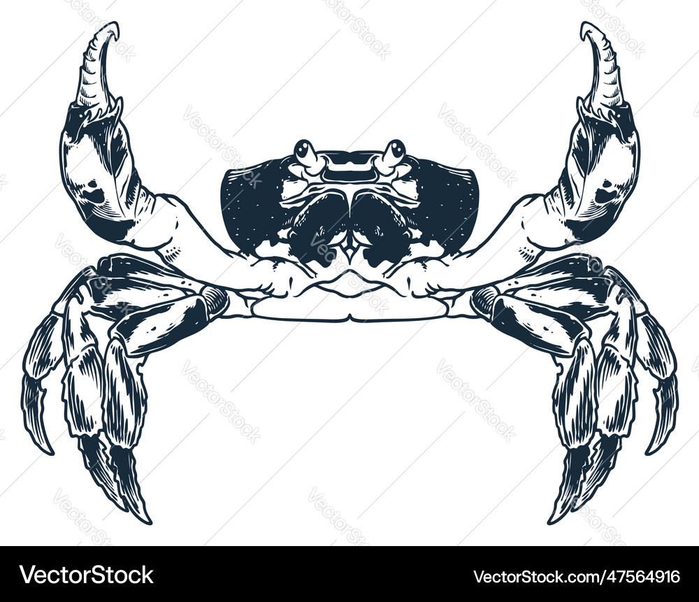 Seafood animal crab engraving drawing hand Vector Image
