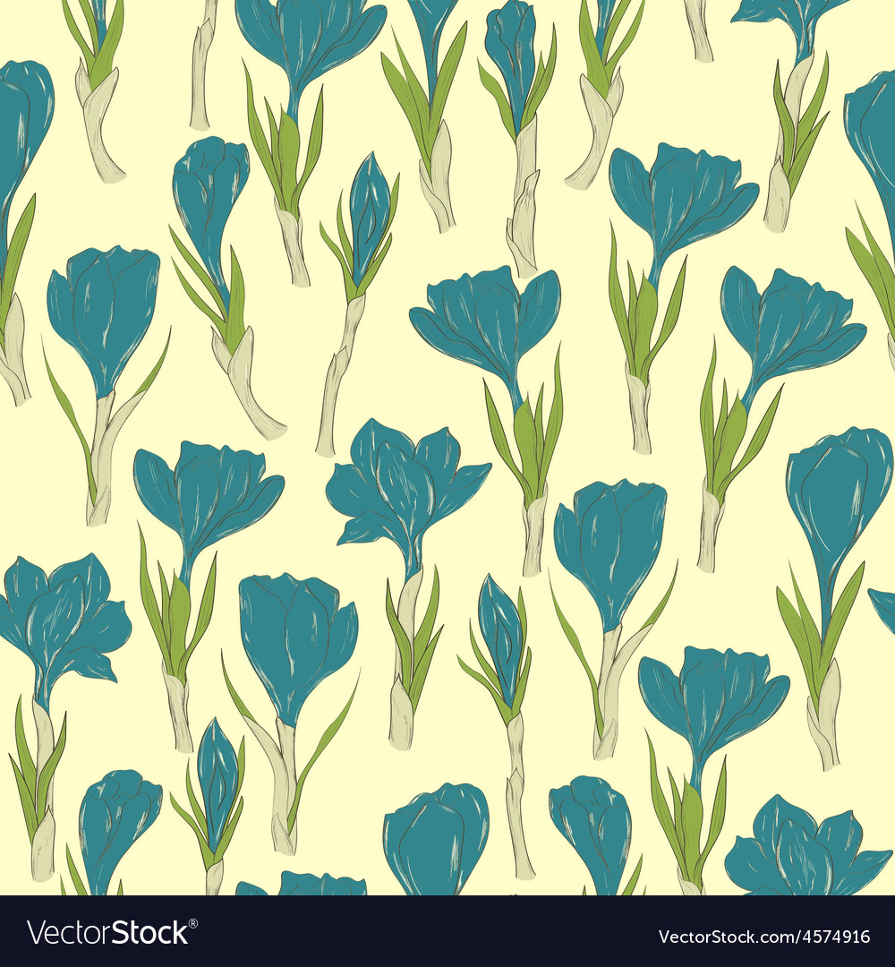 Seamless pattern with crocus Royalty Free Vector Image