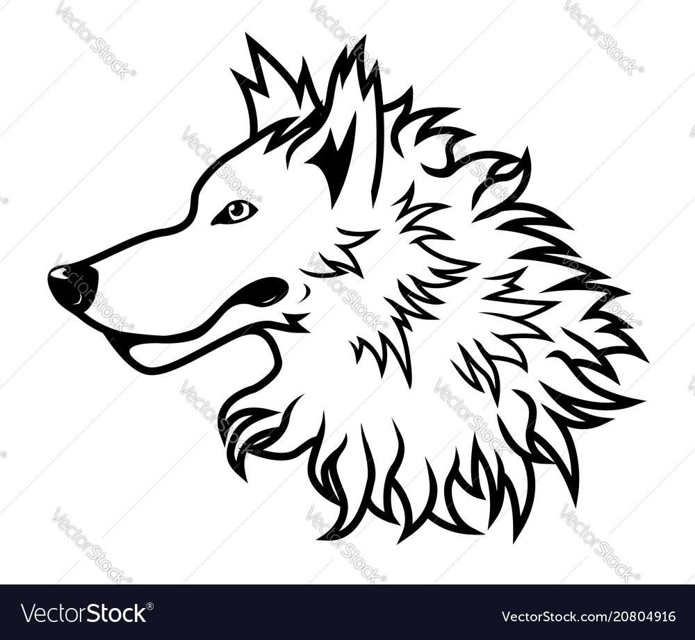 White wolf head Royalty Free Vector Image - VectorStock