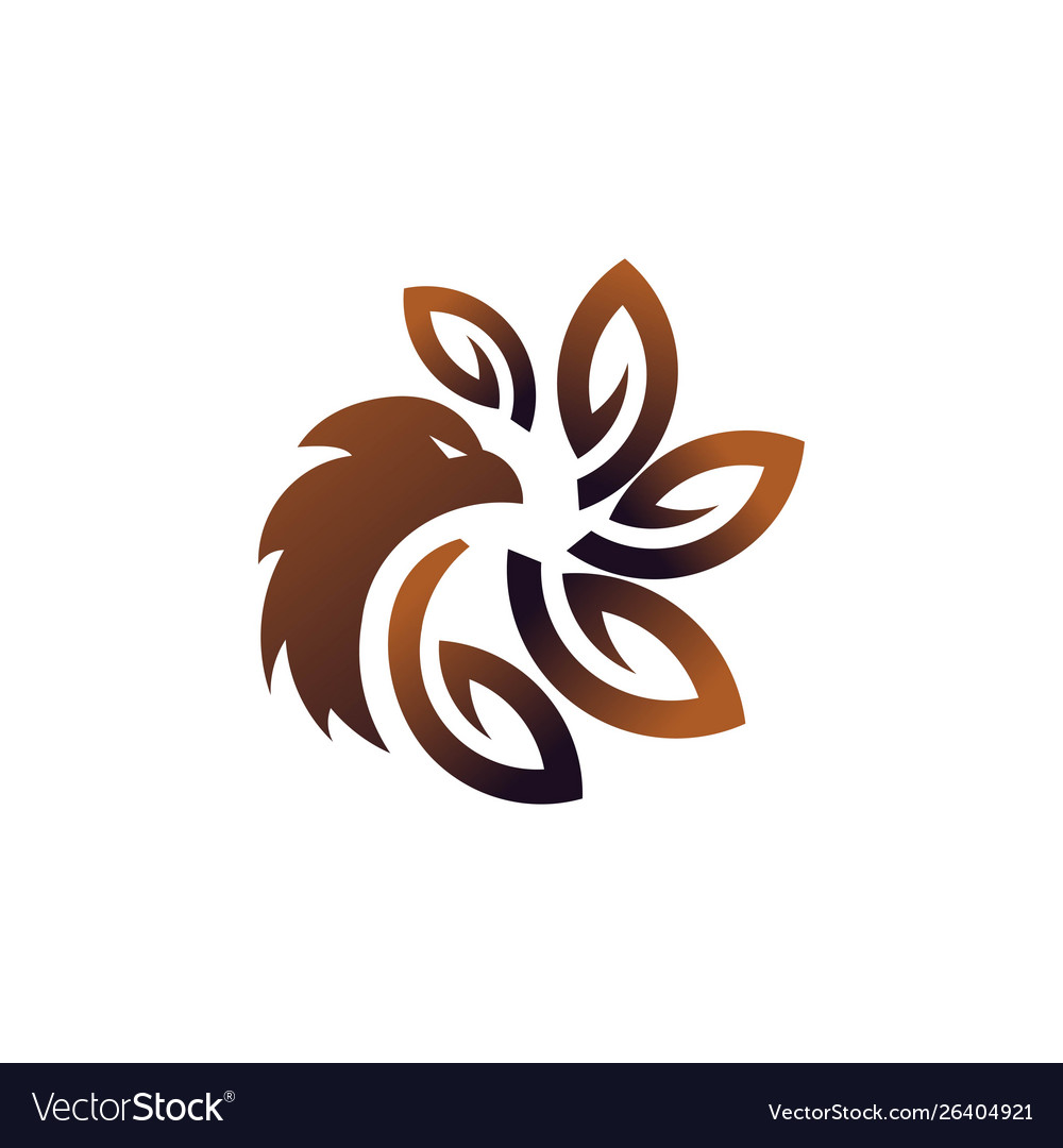Eagle and leaf logo template Royalty Free Vector Image