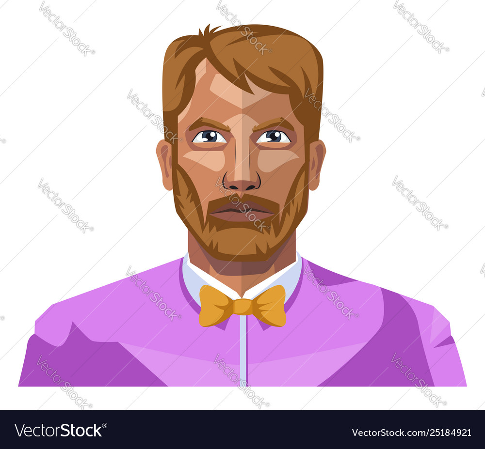 Full bearded guy on white background Royalty Free Vector