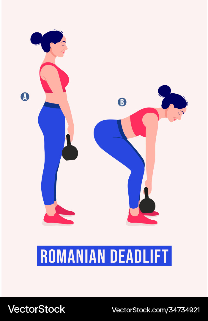 Women workout fitness Royalty Free Vector Image