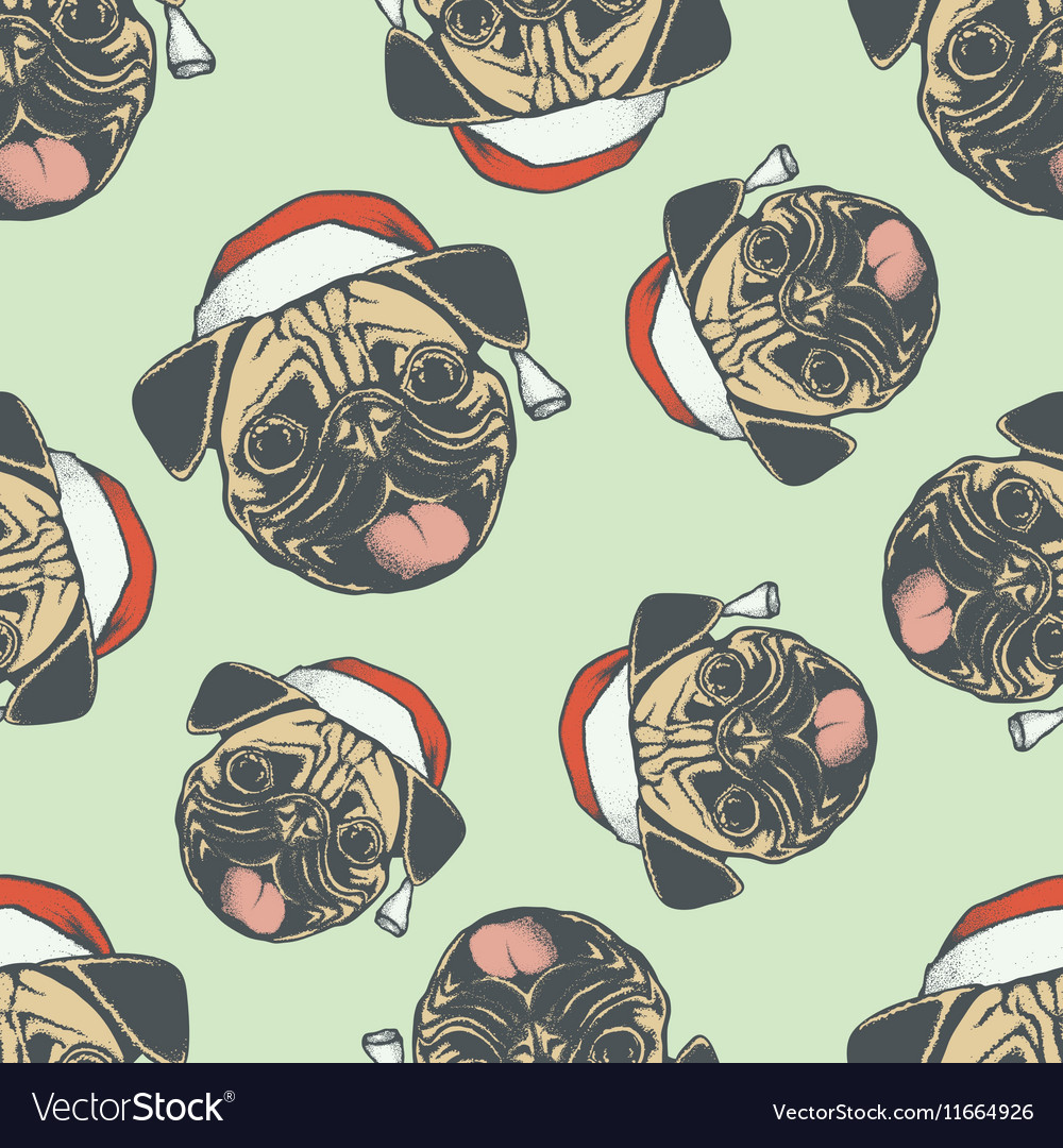 Head Royalty Free Vector Image - VectorStock