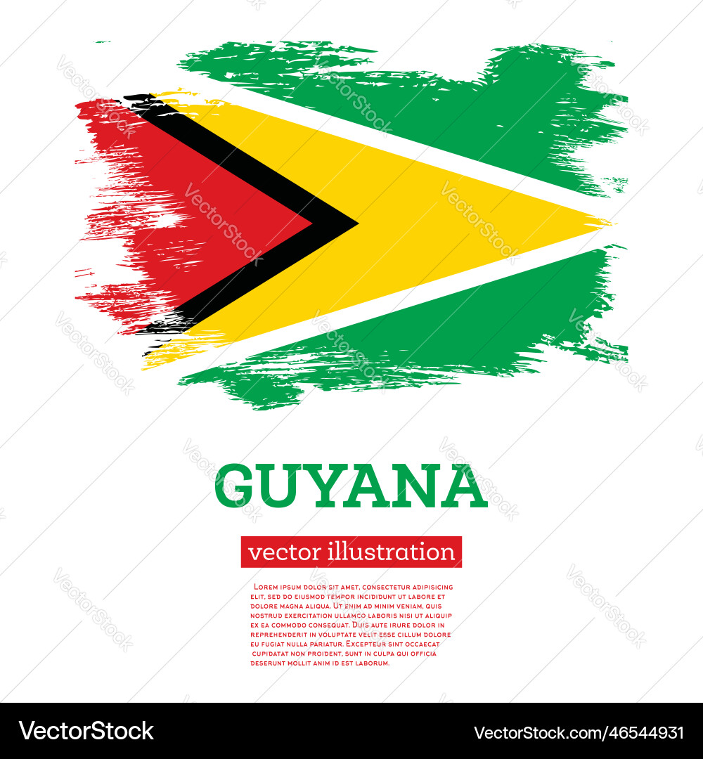 Guyana flag with brush strokes independence day Vector Image