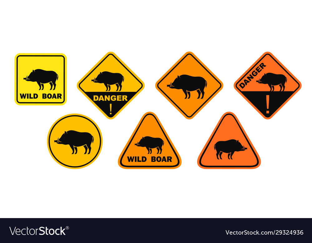 Boar Royalty Free Vector Image - VectorStock