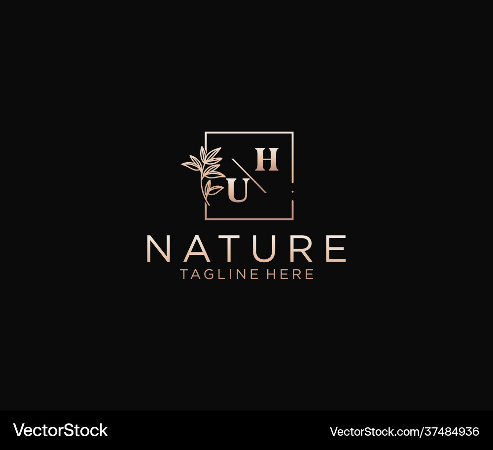 Initial hu letters beautiful floral feminine Vector Image