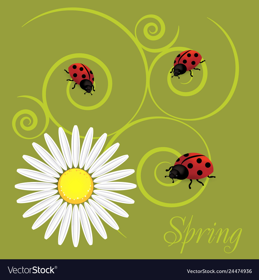 Spring background with dandelions and ladybug Vector Image