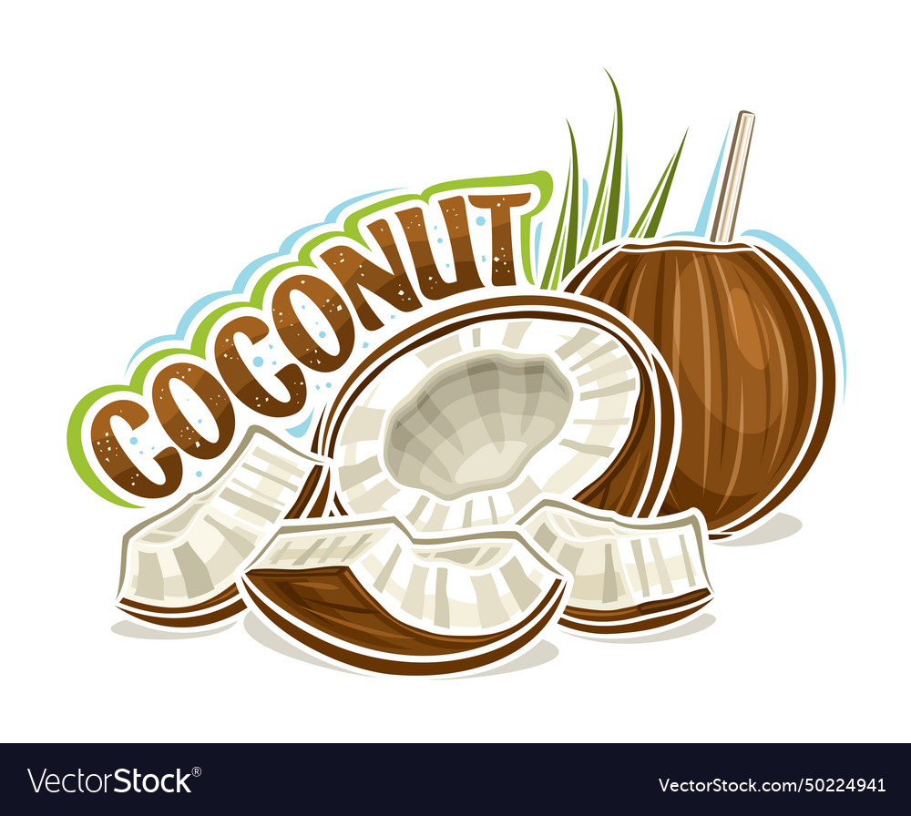 Logo for coconuts Royalty Free Vector Image - VectorStock