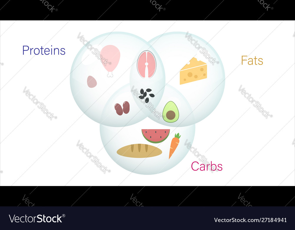 Macro nutrients Royalty Free Vector Image - VectorStock