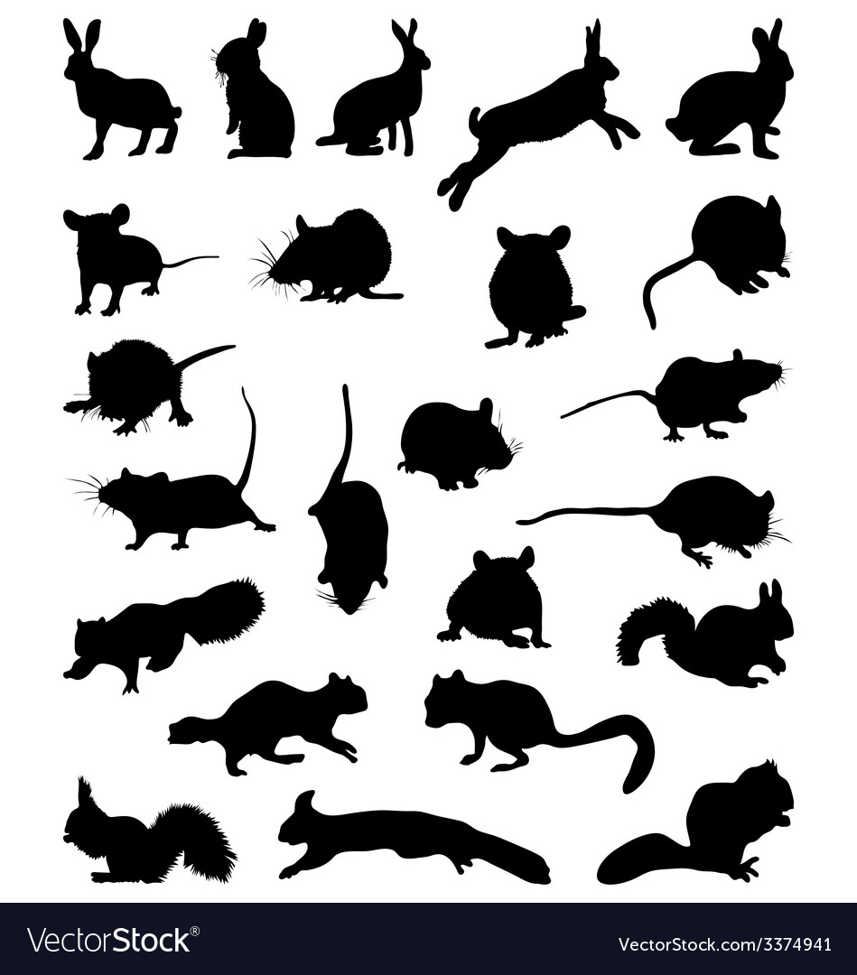 Rodents Royalty Free Vector Image - VectorStock