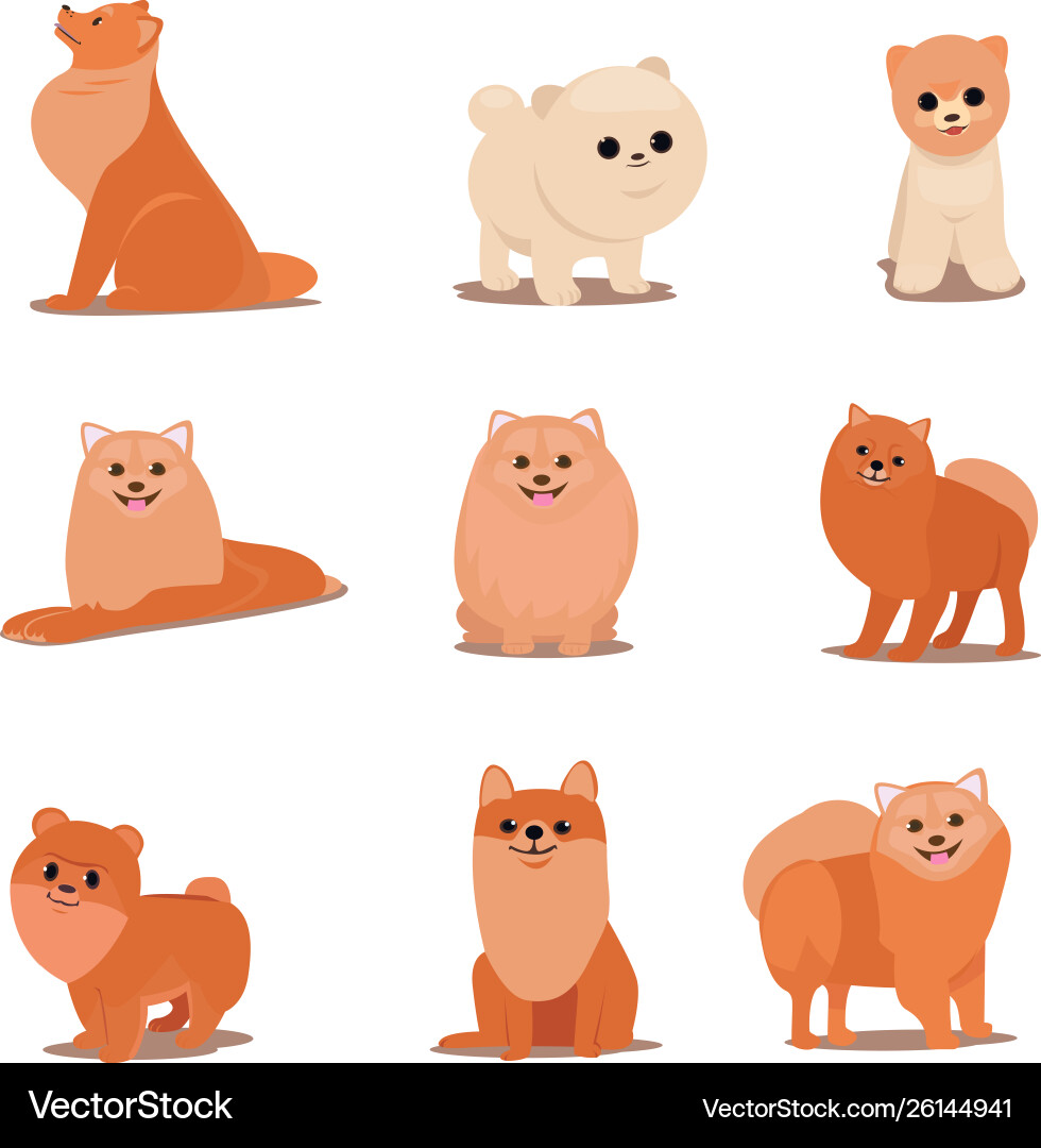 Set cute spitz dog in white or red color Vector Image