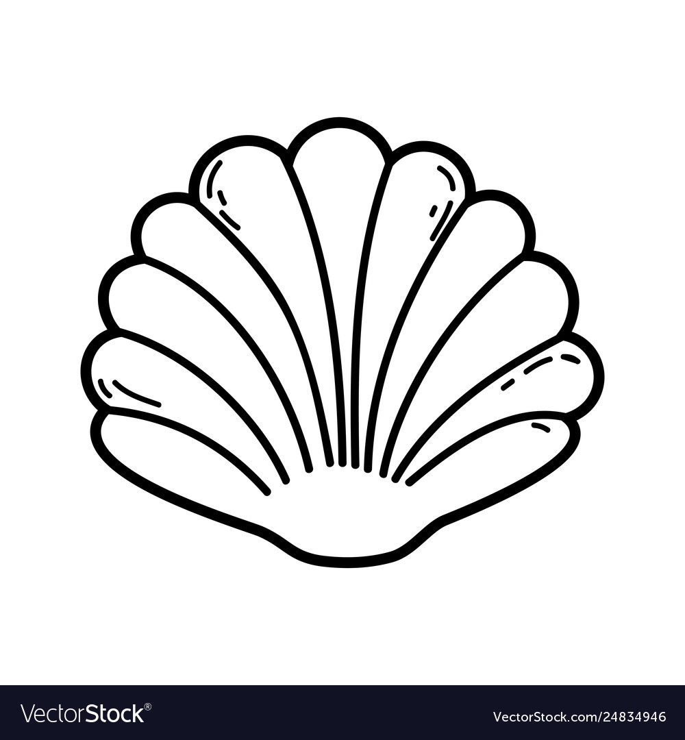 Decorative shell isolated icon Royalty Free Vector Image