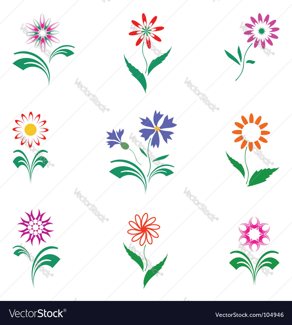 Floral design elements Royalty Free Vector Image