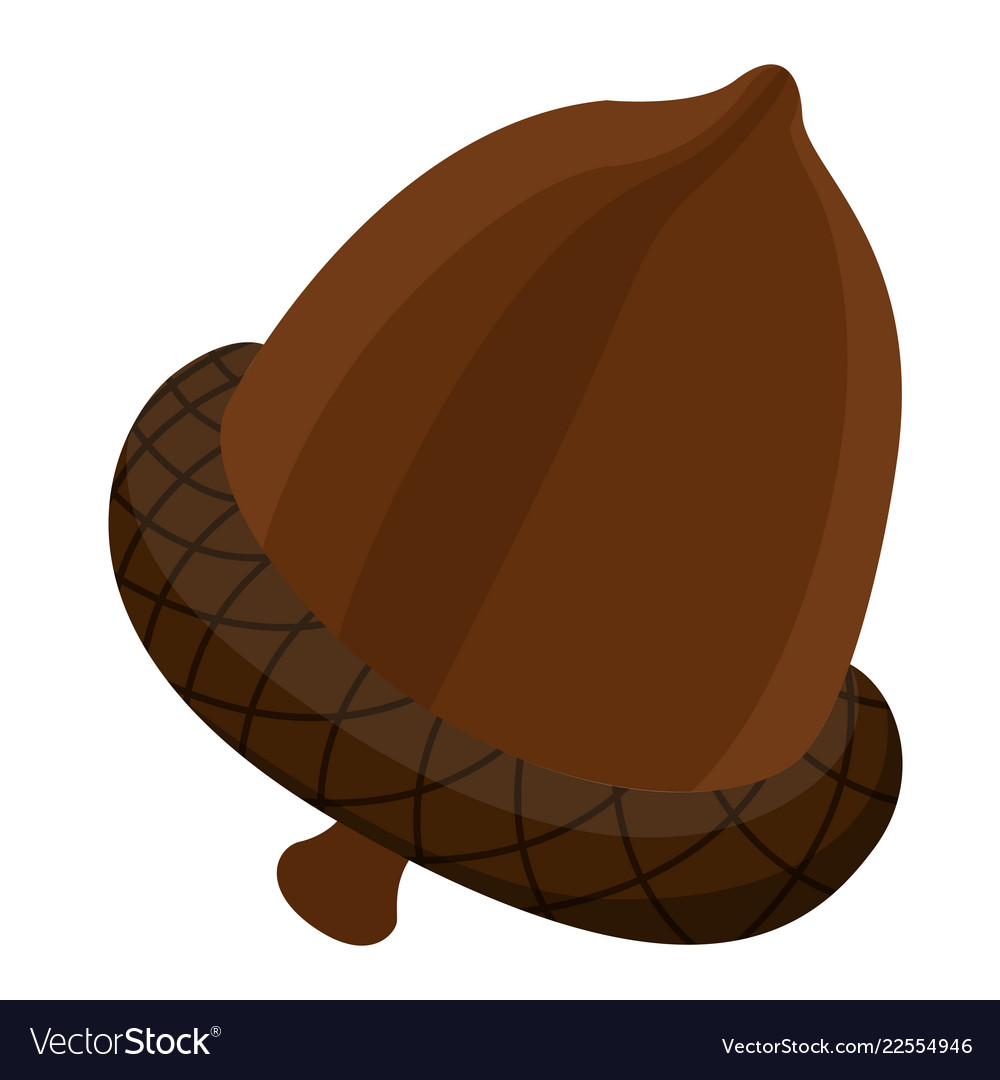Isolated colored nut Royalty Free Vector Image