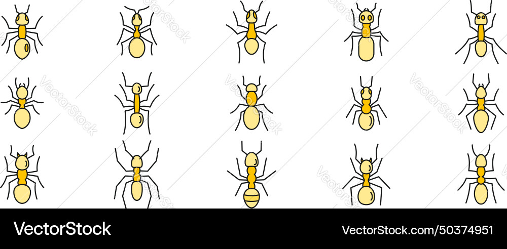 Wild ant icons set color line Royalty Free Vector Image
