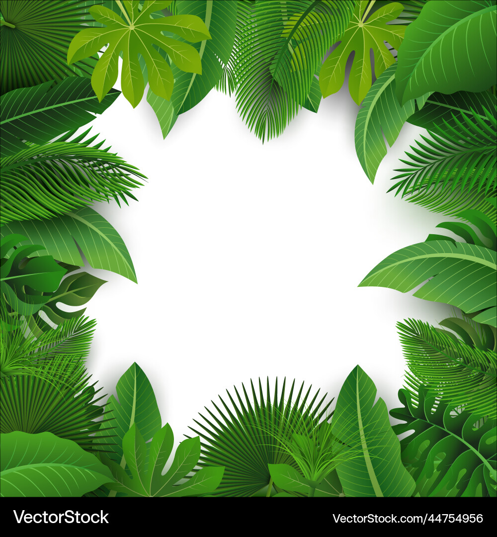 Background with text space of tropical leaves Vector Image