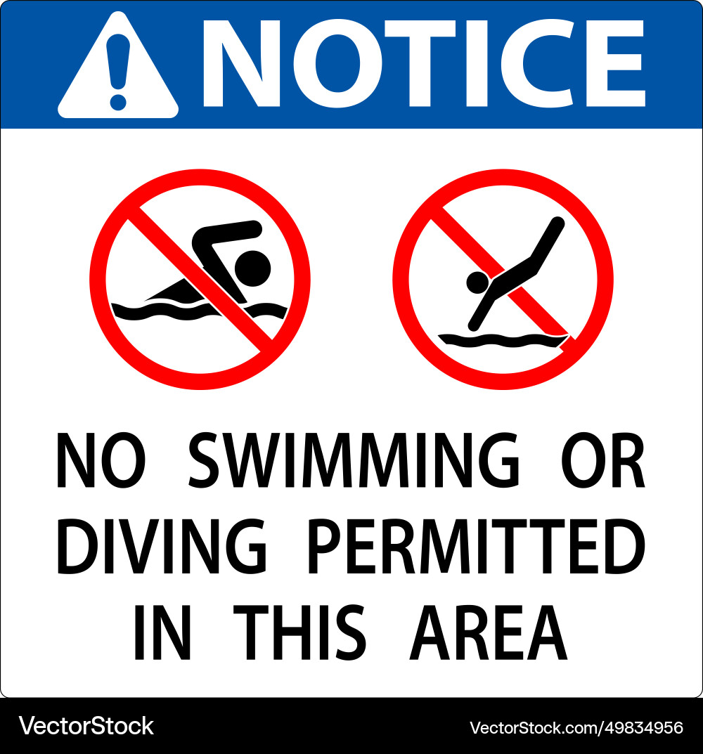 Pool notice sign no swimming or diving permitted Vector Image