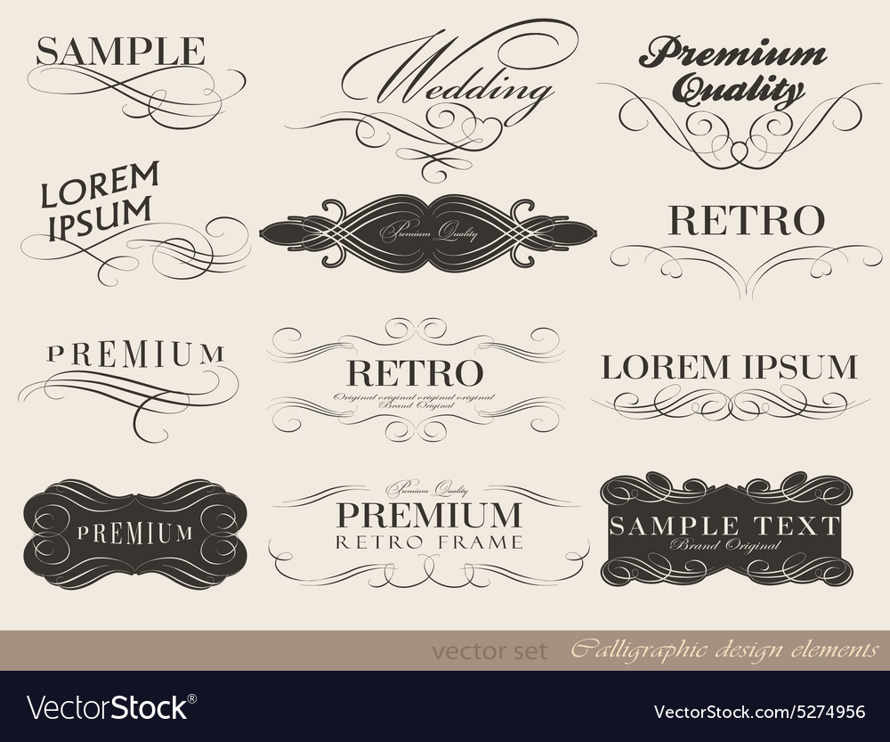 Typography calligraphic design elements page Vector Image