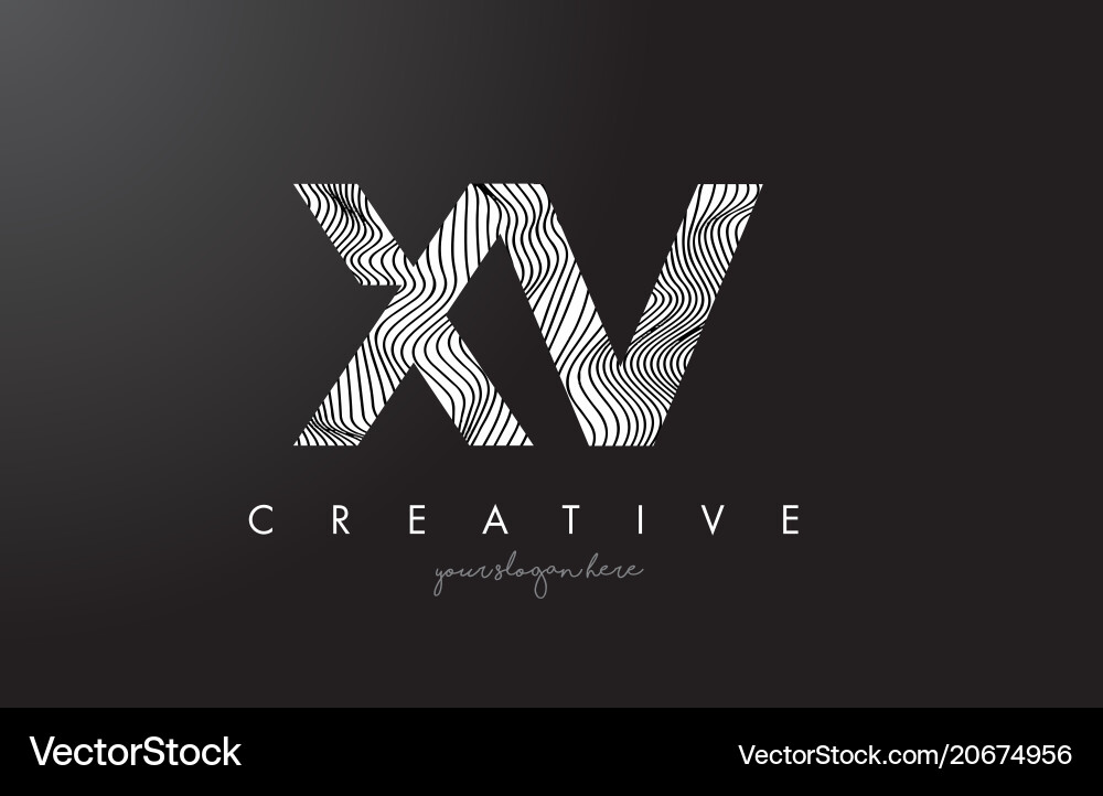 Xv x v letter logo with zebra lines texture Vector Image