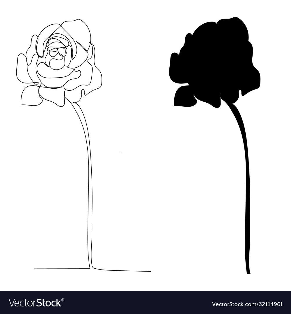 Isolated rose continuous line drawing Royalty Free Vector