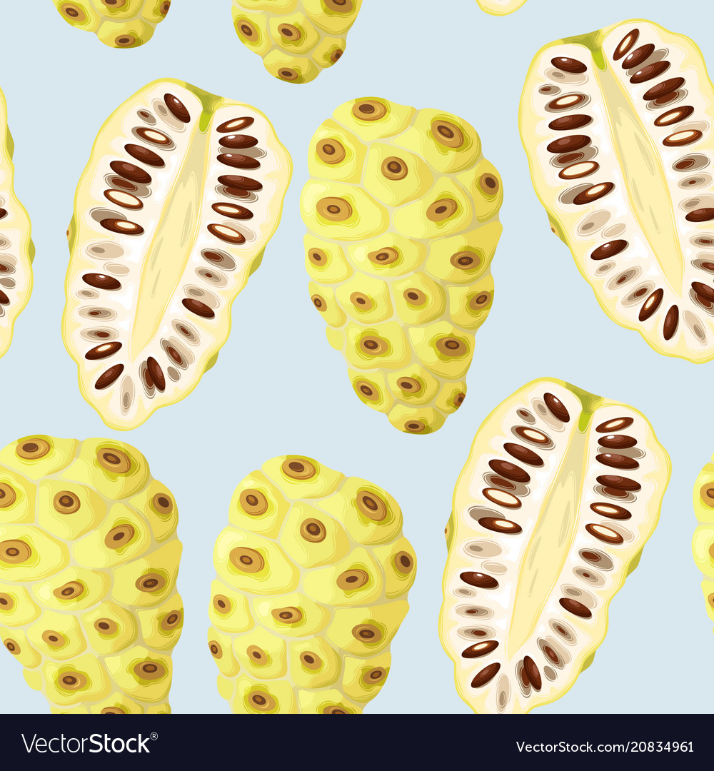 Seamless pattern noni fruit Royalty Free Vector Image