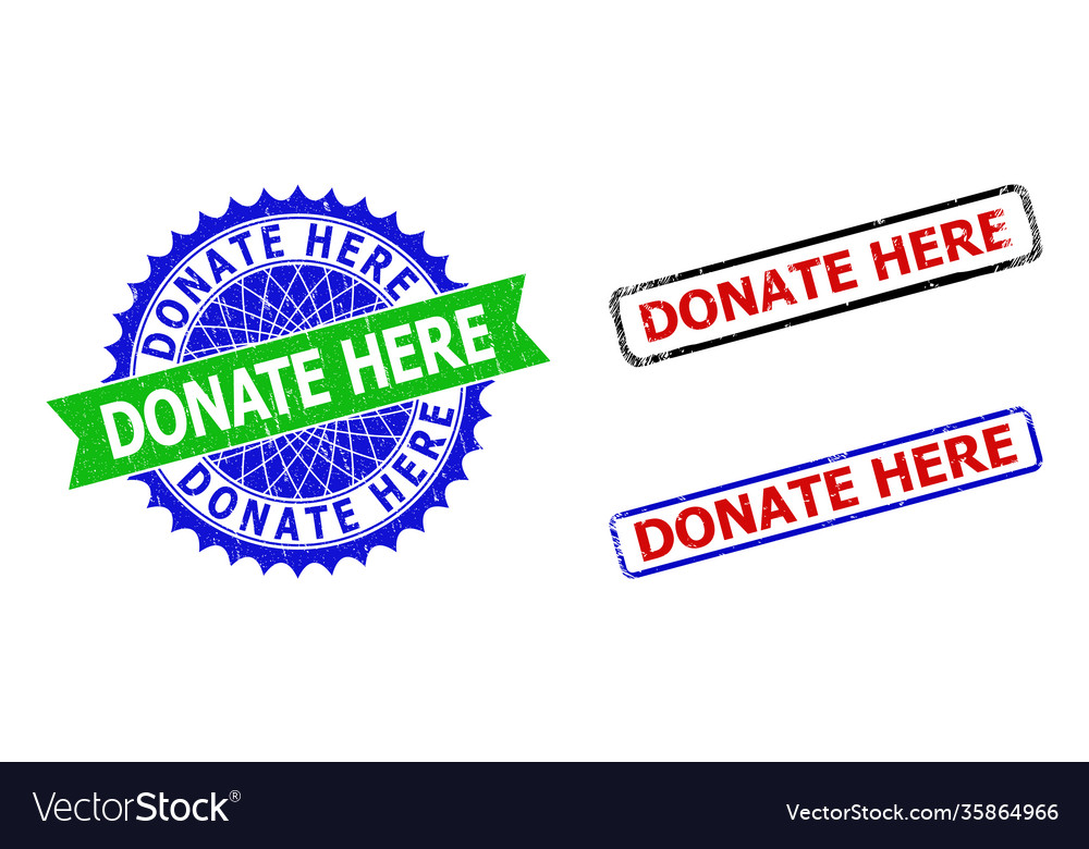 Donate here rosette and rectangle bicolor Vector Image