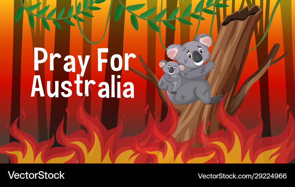 Pray for australia poster design with wildfire Vector Image