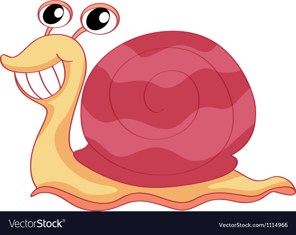 Snail Royalty Free Vector Image - VectorStock