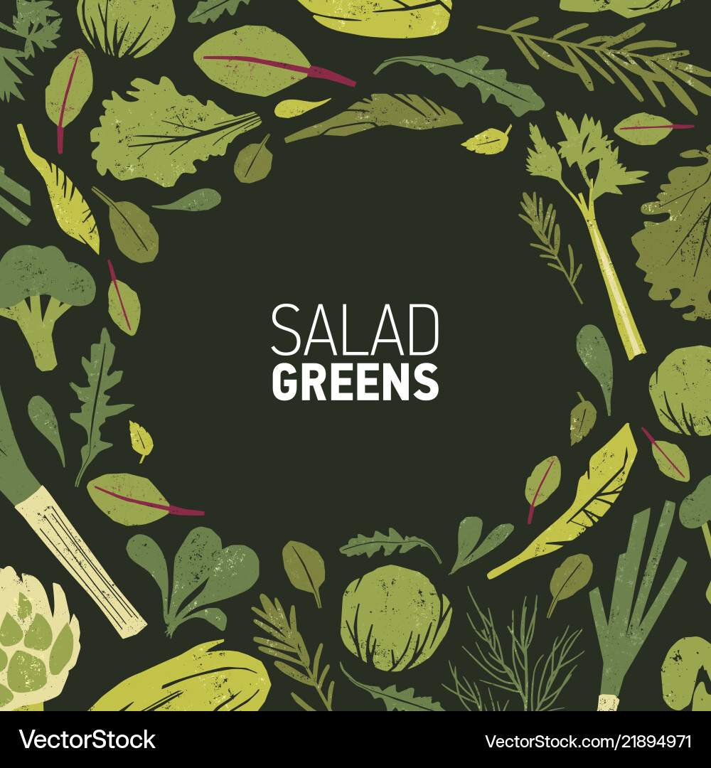 Circular frame made of green plants salad leaves Vector Image