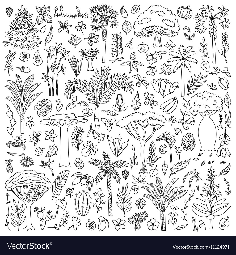 Doodle forest set Royalty Free Vector Image - VectorStock