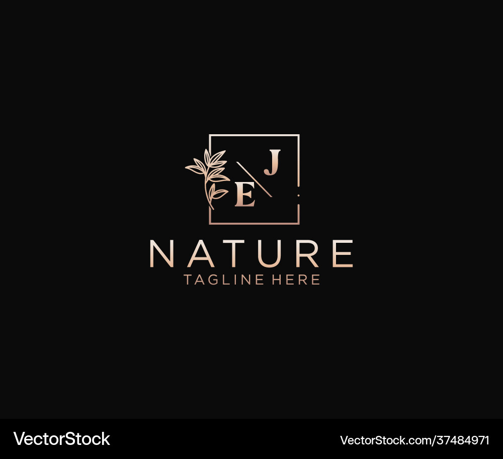 Initial je letters beautiful floral feminine Vector Image