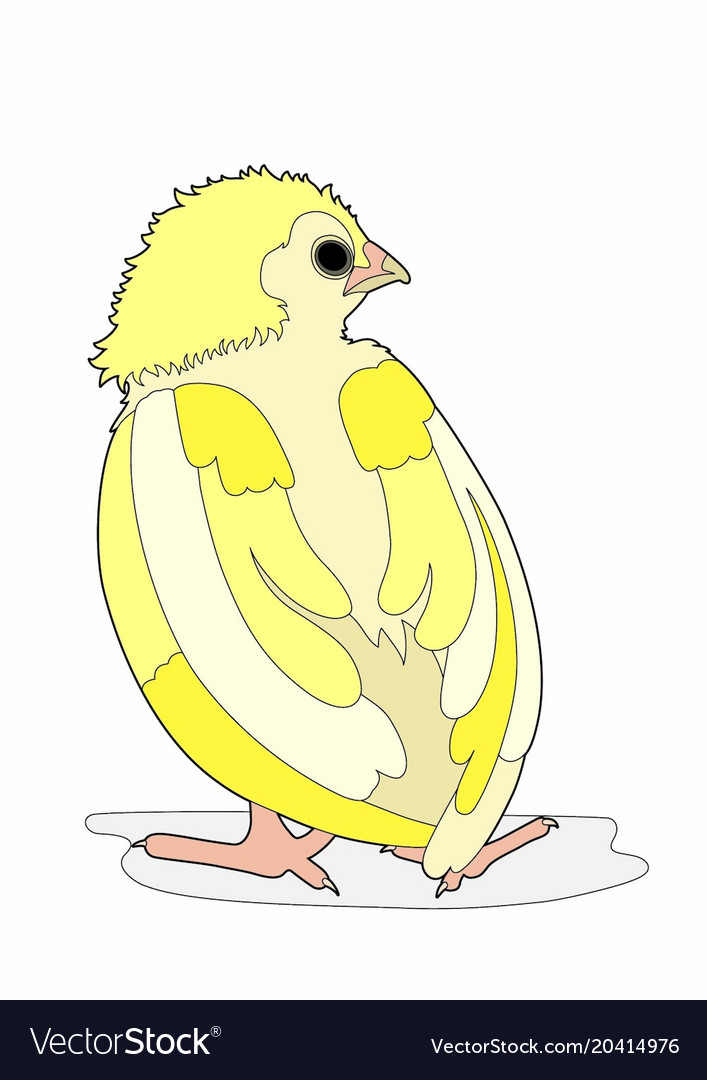 Big bird back Royalty Free Vector Image - VectorStock