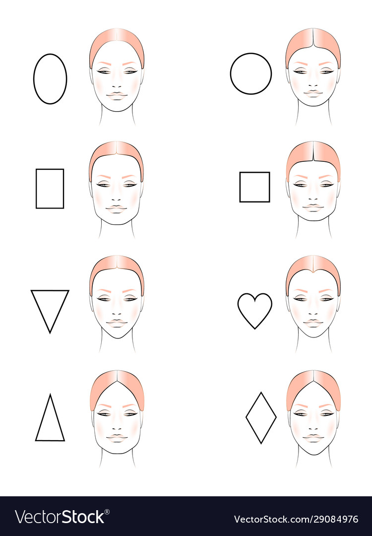 Different face shapes Royalty Free Vector Image
