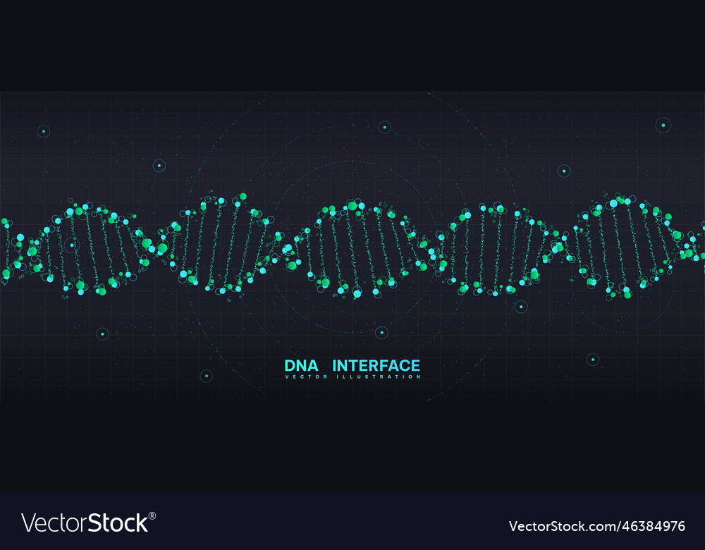 Dna interface concept Royalty Free Vector Image