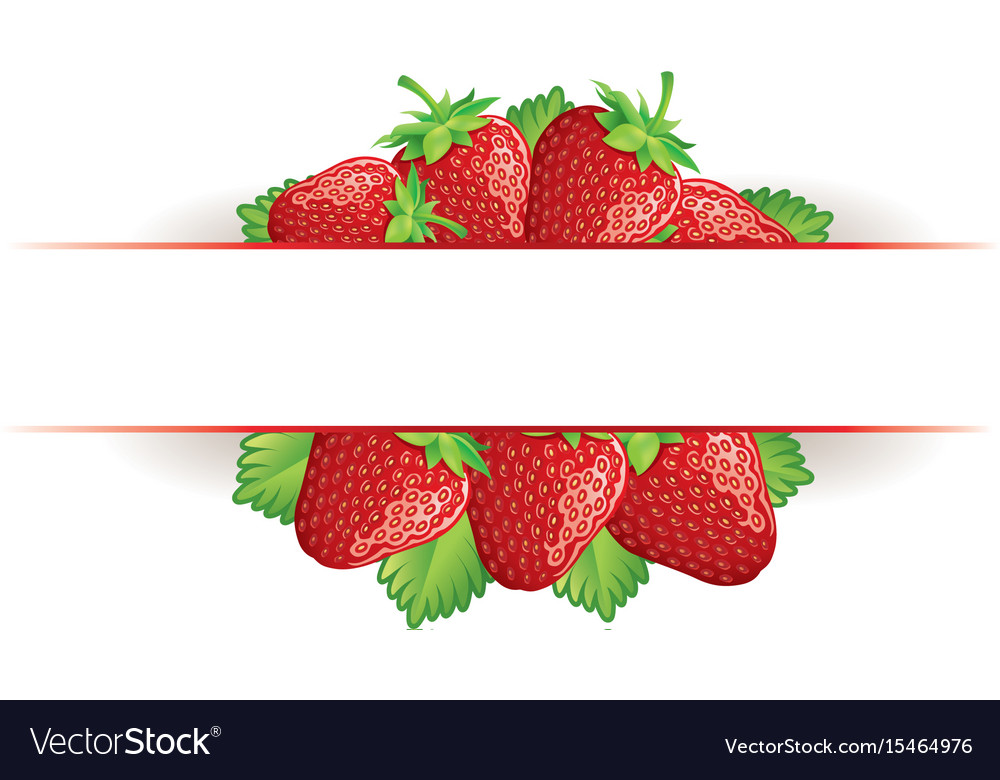 Strawberry background Royalty Free Vector Image